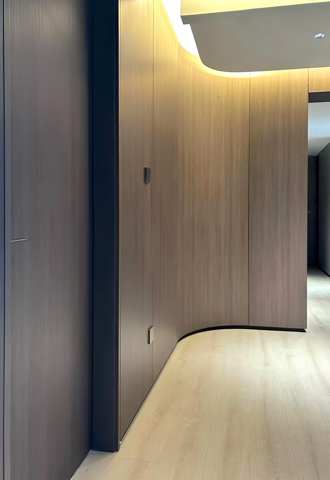 The Versatile Applications of Carbon Crystal Wall Panels – higginssign